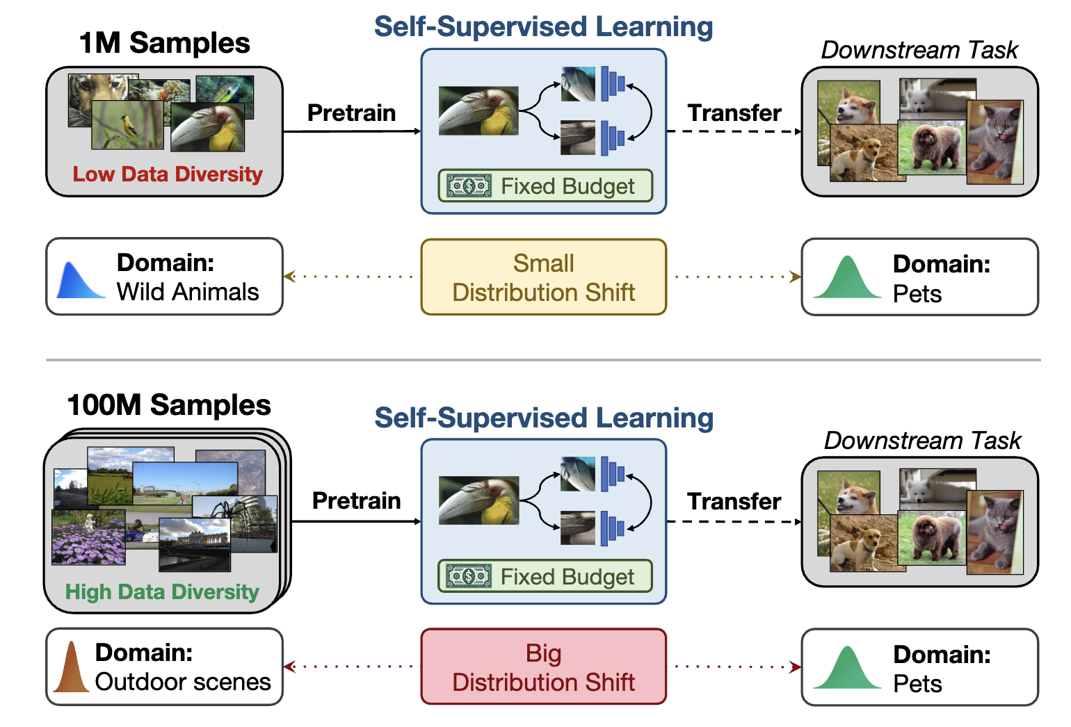 On Pretraining Data Diversity for Self-Supervised Learning | Adel Bibi